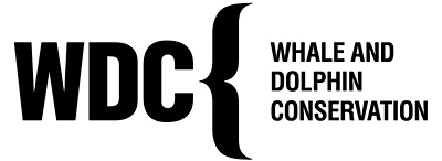 Think Publishing | Transforming lives through content